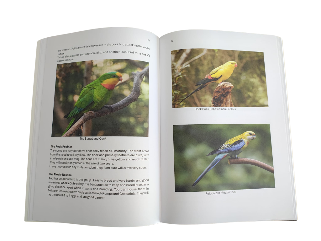 How to Order – Kidbrook Publishing