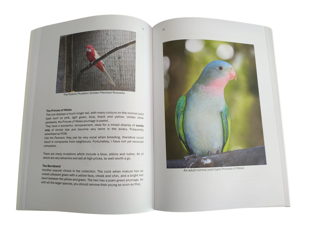 How to Order – Kidbrook Publishing